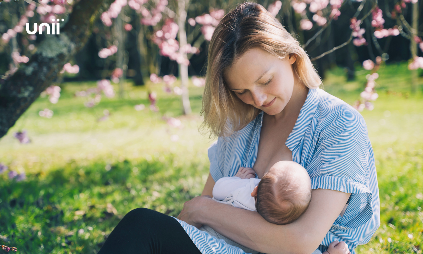 What is the fourth trimester of pregnancy?