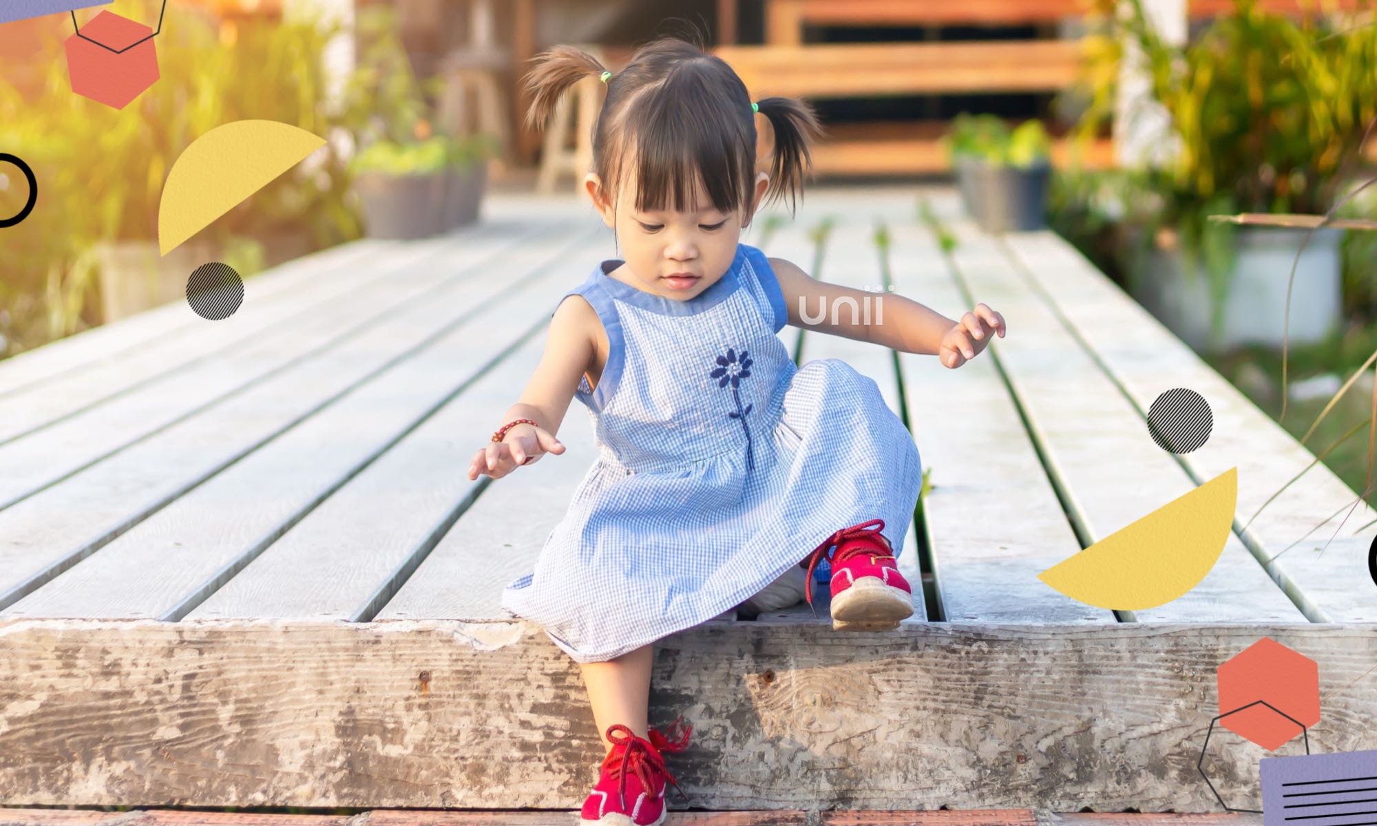 What are the developmental milestones for my 2 - 3-year-old?