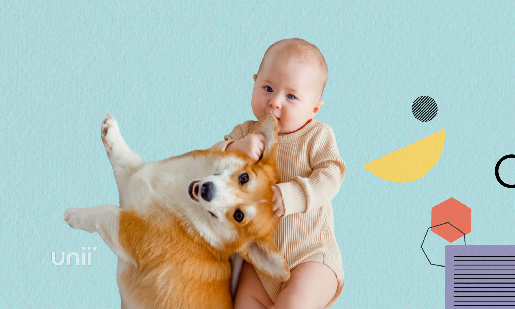 How can I keep my baby safe around pets?