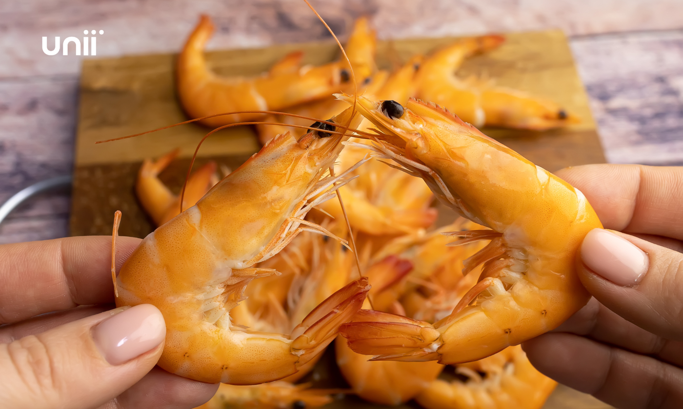 Can I eat shrimp whilst breastfeeding?